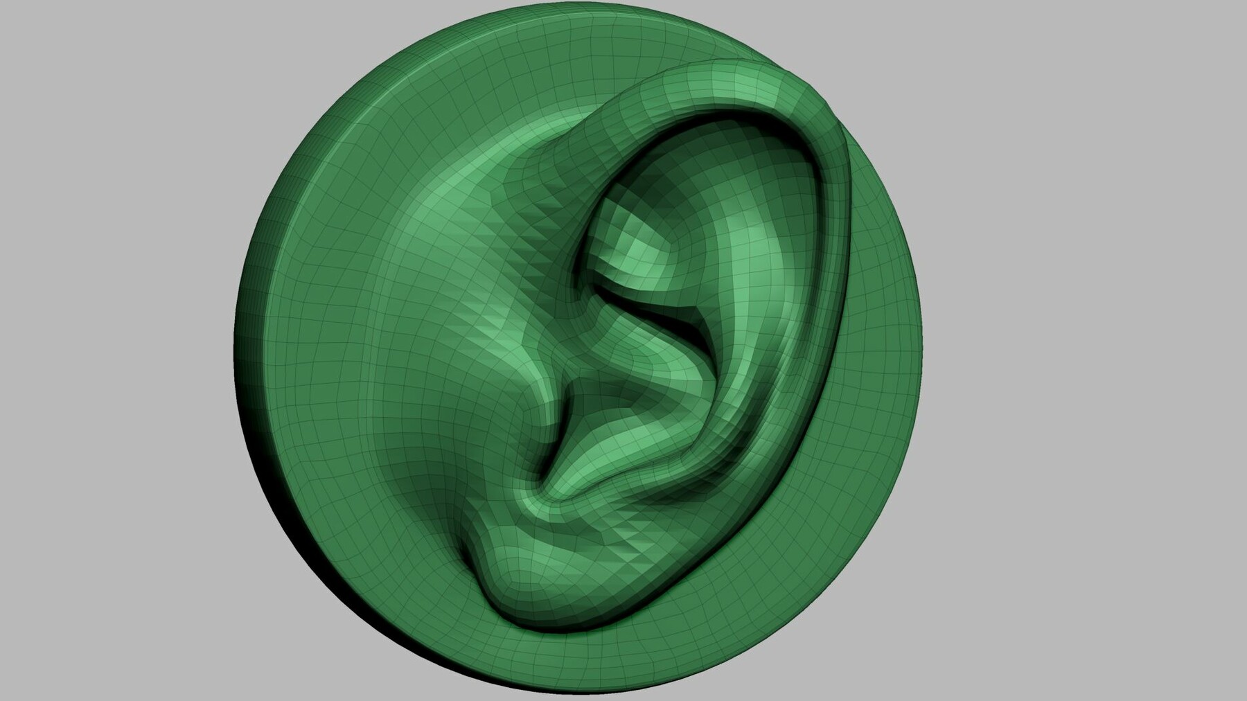 ArtStation - Ear Model A | Resources