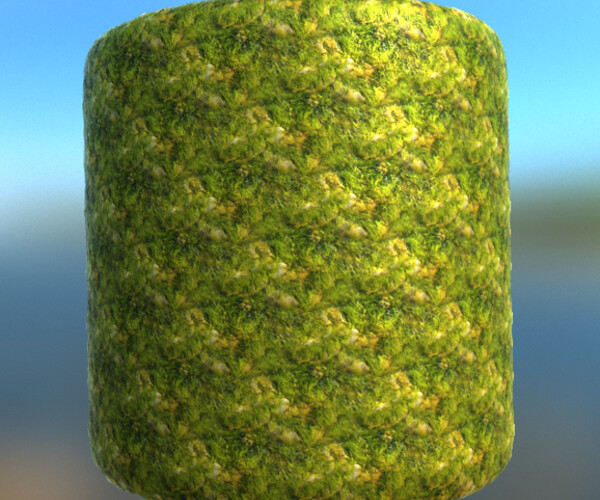ArtStation - Green Seaweeds and Sand Texture | Game Assets