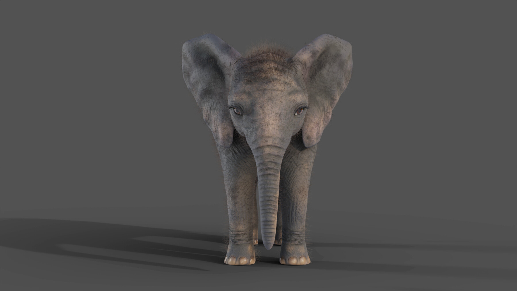 ArtStation - Fur Baby Elephant Rigged and Animation in Blender | Game ...