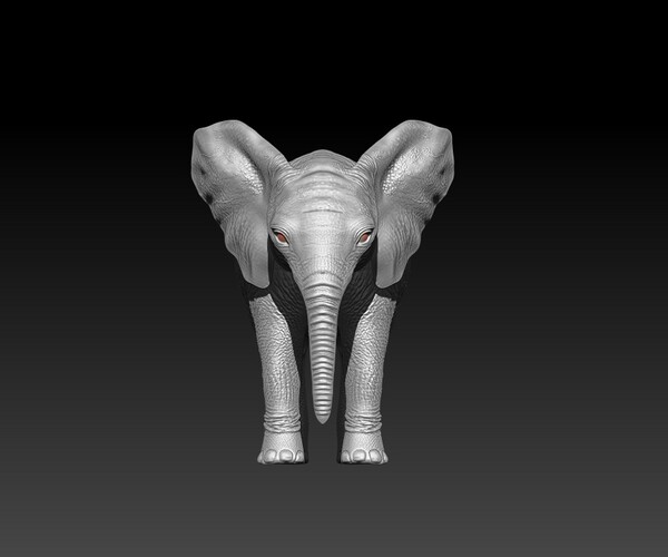 ArtStation - Fur Baby Elephant Rigged and Animation in Blender | Game ...