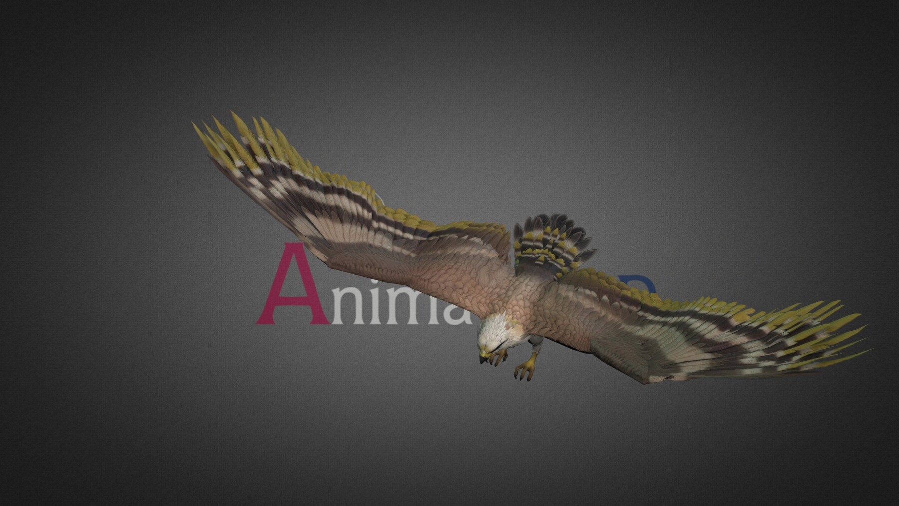 ArtStation - Eagle1-Fly2 | Game Assets