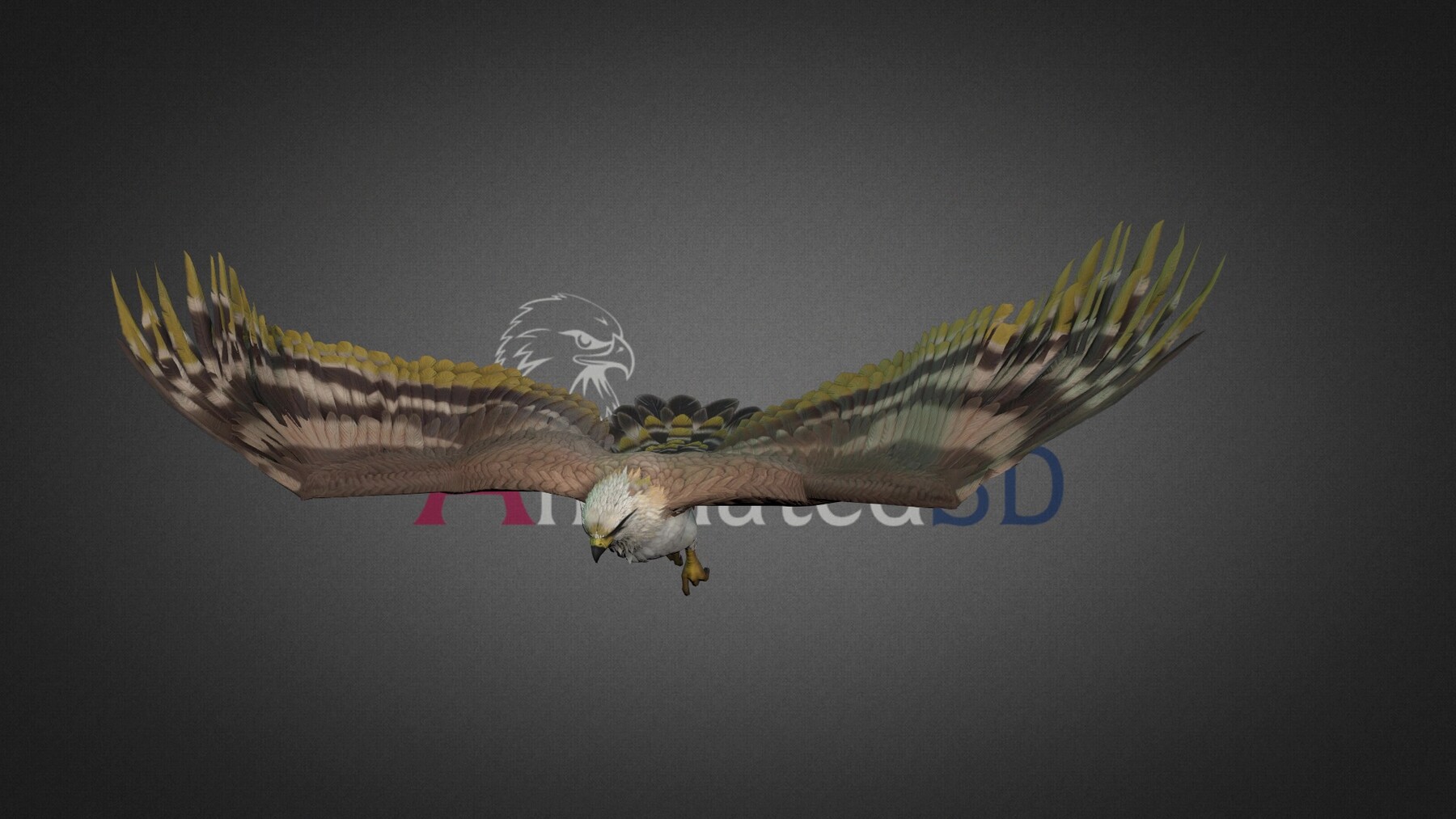 ArtStation - Eagle1-Fly5 | Game Assets