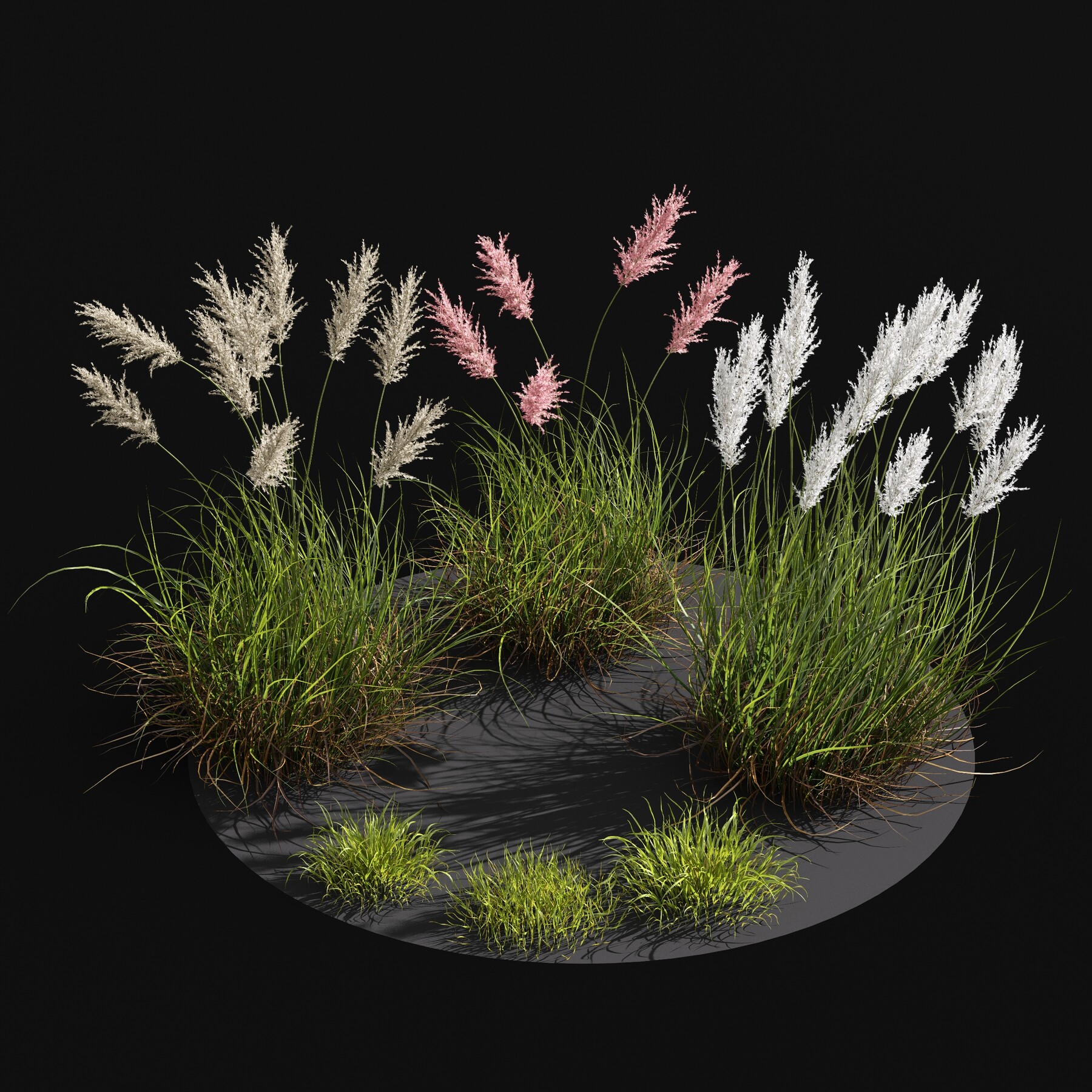 ArtStation - Meadow Lawn Grassland Set 018 | Resources