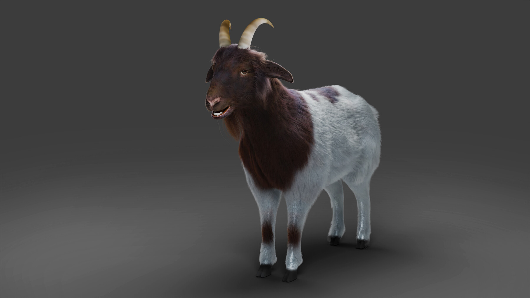 ArtStation - Fur Goat 03 Rigged and Animation in Blender | Game Assets