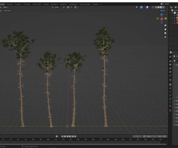 ArtStation - New Plant High detail Pinus Engelmannii02 | Resources