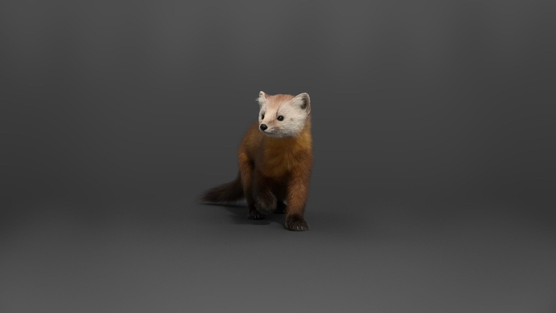ArtStation - American Marten Animated | VFX Grace | Game Assets