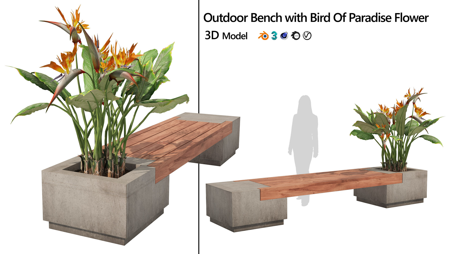 ArtStation - Outdoor bench with Bird Of Paradise flower | Resources