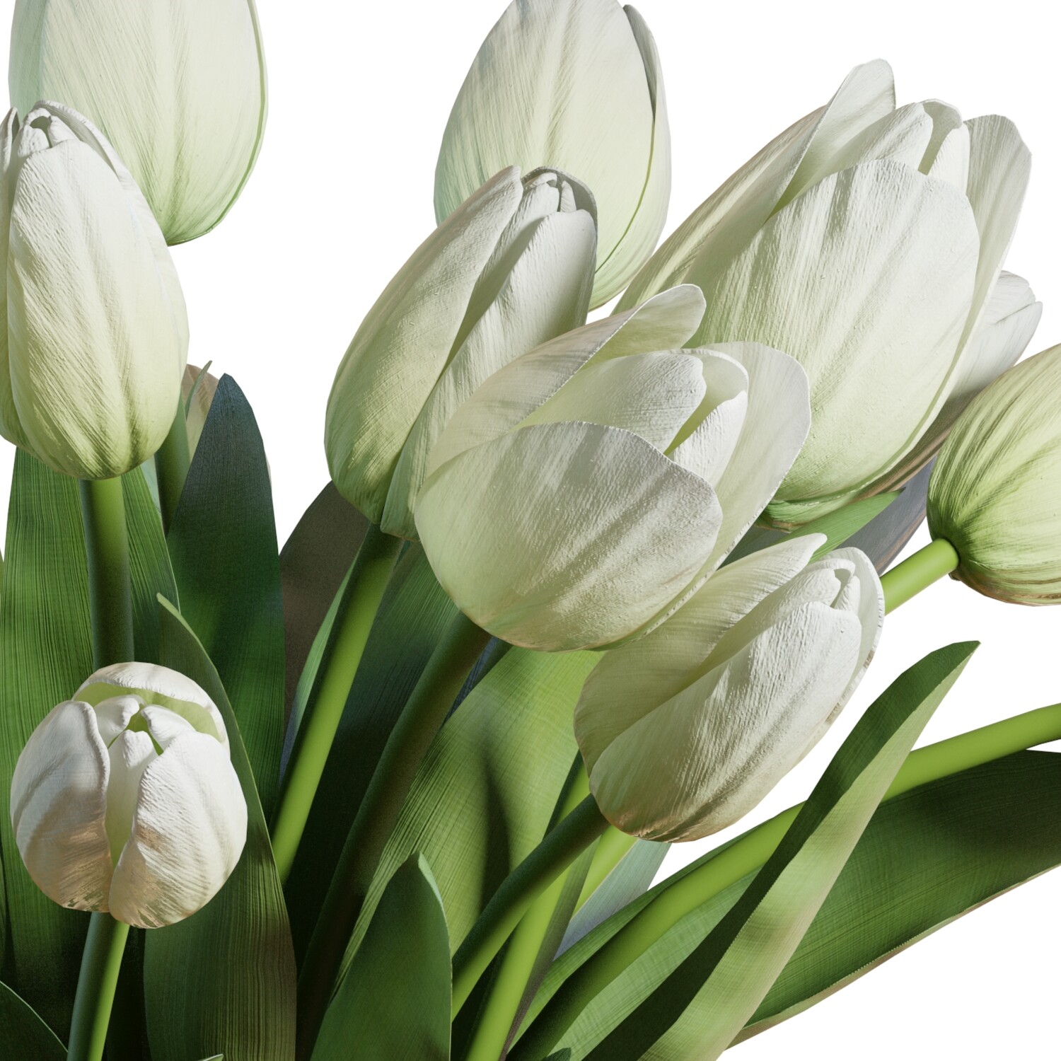 ArtStation - Flower Set 17 / White Tulips Bouquet | Resources