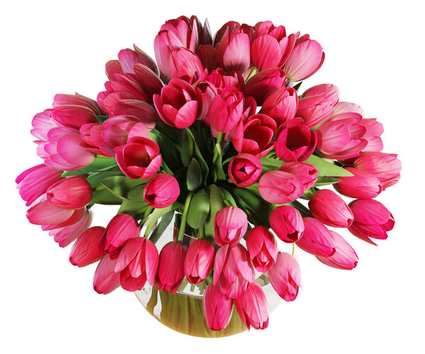 ArtStation - 3D model / Flower Set 19 / Pink Tulips Bouquet | Resources ArtStation - 3D model / Flower Set 19 / Pink Tulips Bouquet | Resources