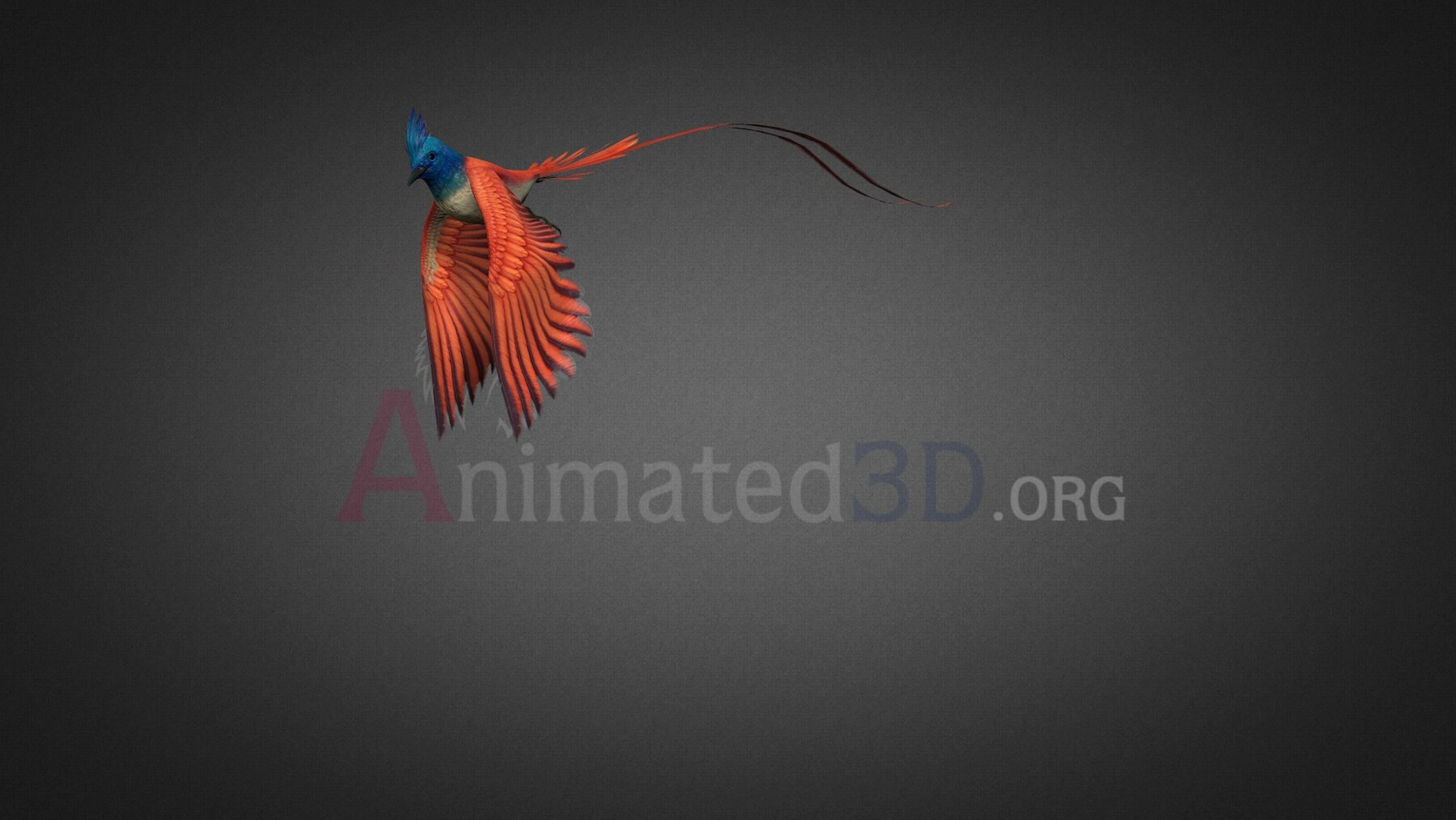 ArtStation - Pheasant Bird-Fly2 | Game Assets