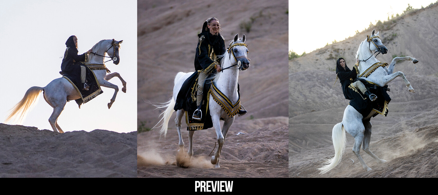 ArtStation - 360+ Desert Horse Rider | Resources