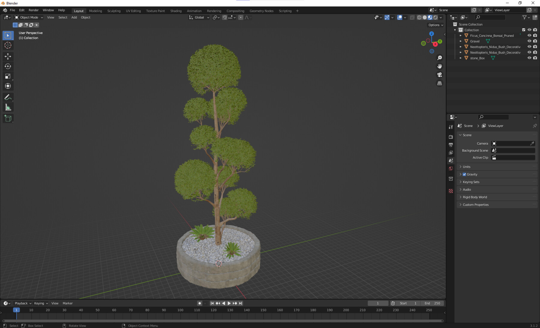 ArtStation - New Plant Ficus Concinna Bonsai Pruned Tree | Resources