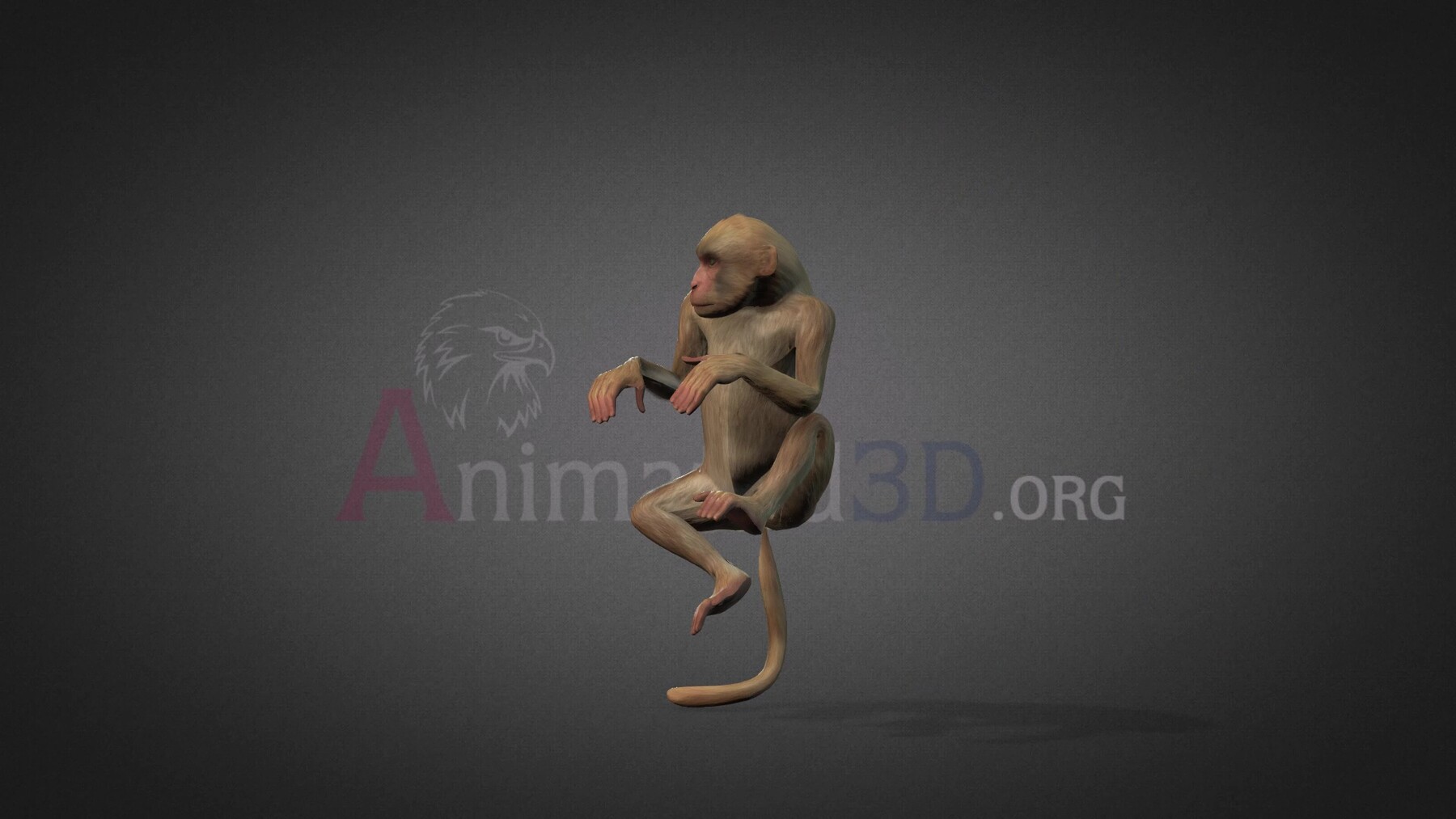 ArtStation - Monkey-Free | Game Assets