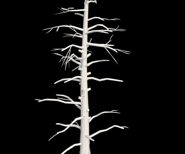 ArtStation - Dead Pine Tree | Game Assets