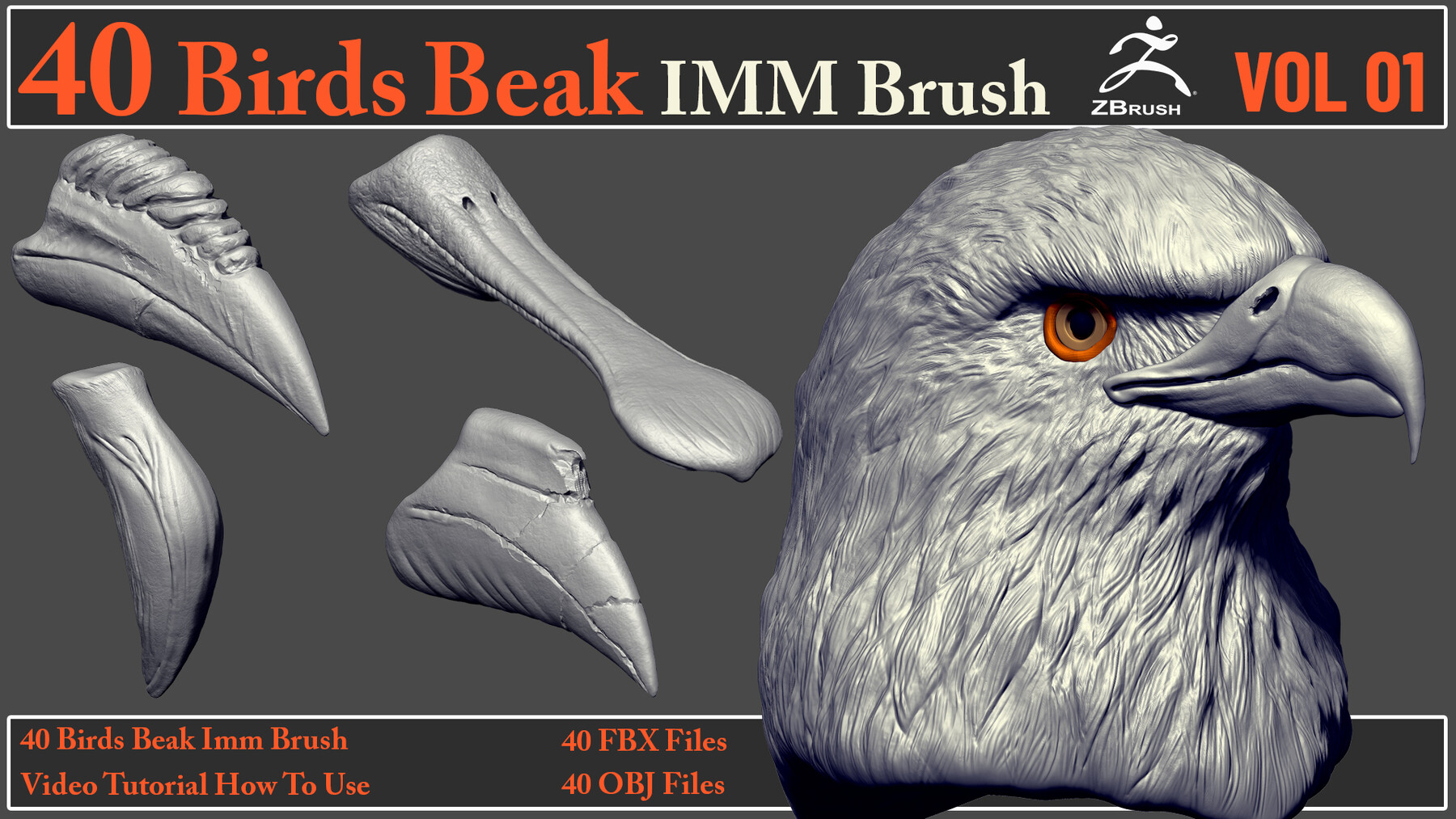 ArtStation - 40 Birds Beak IMM Brush + Video How To Use | Brushes