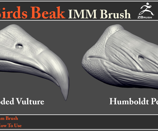 ArtStation - 40 Birds Beak IMM Brush + Video How To Use | Brushes