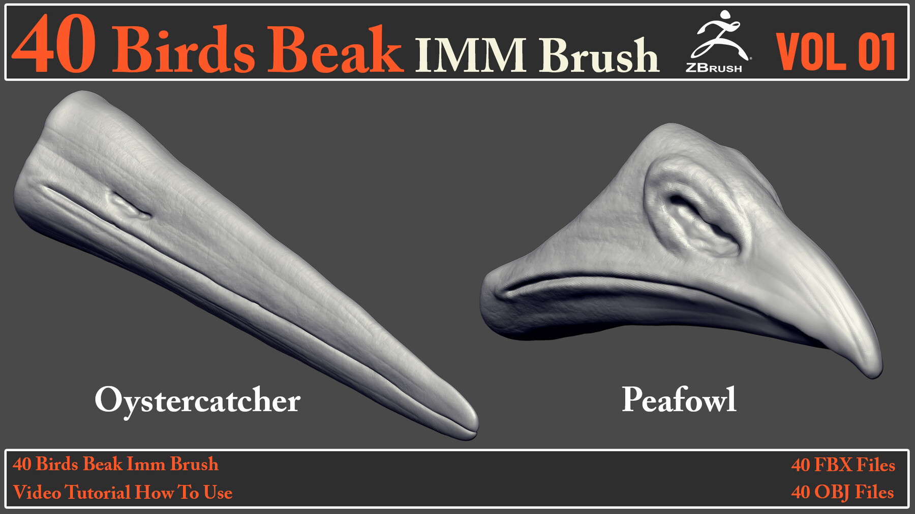 ArtStation - 40 Birds Beak IMM Brush + Video How To Use | Brushes