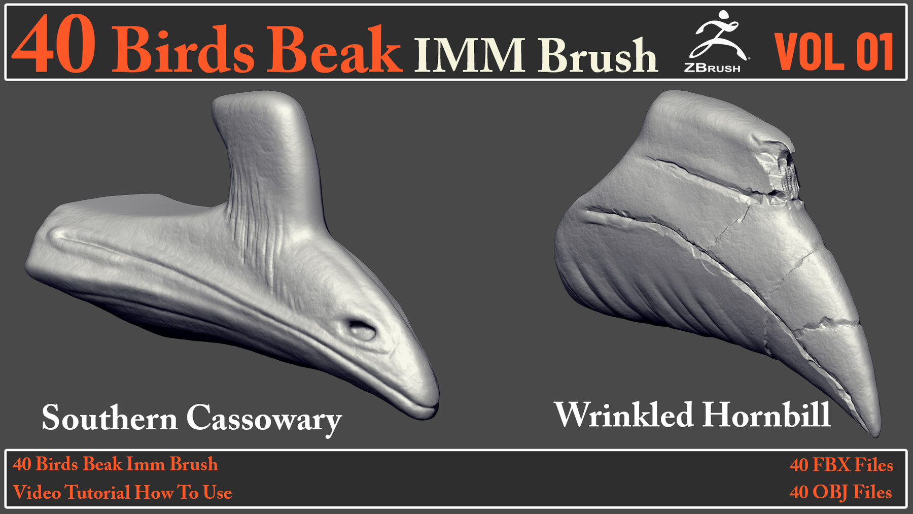 ArtStation - 40 Birds Beak IMM Brush + Video How To Use | Brushes