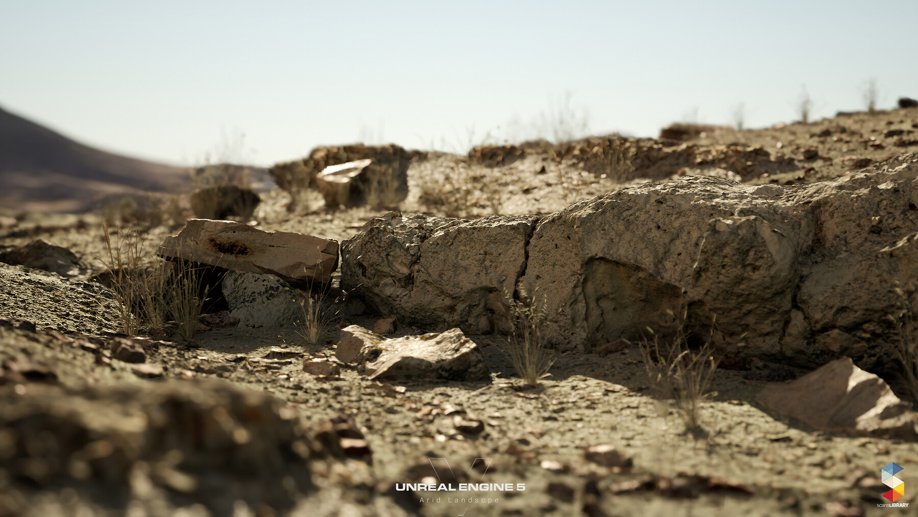 ArtStation - Arid Landscape (UE5 NANITE) | Game Assets