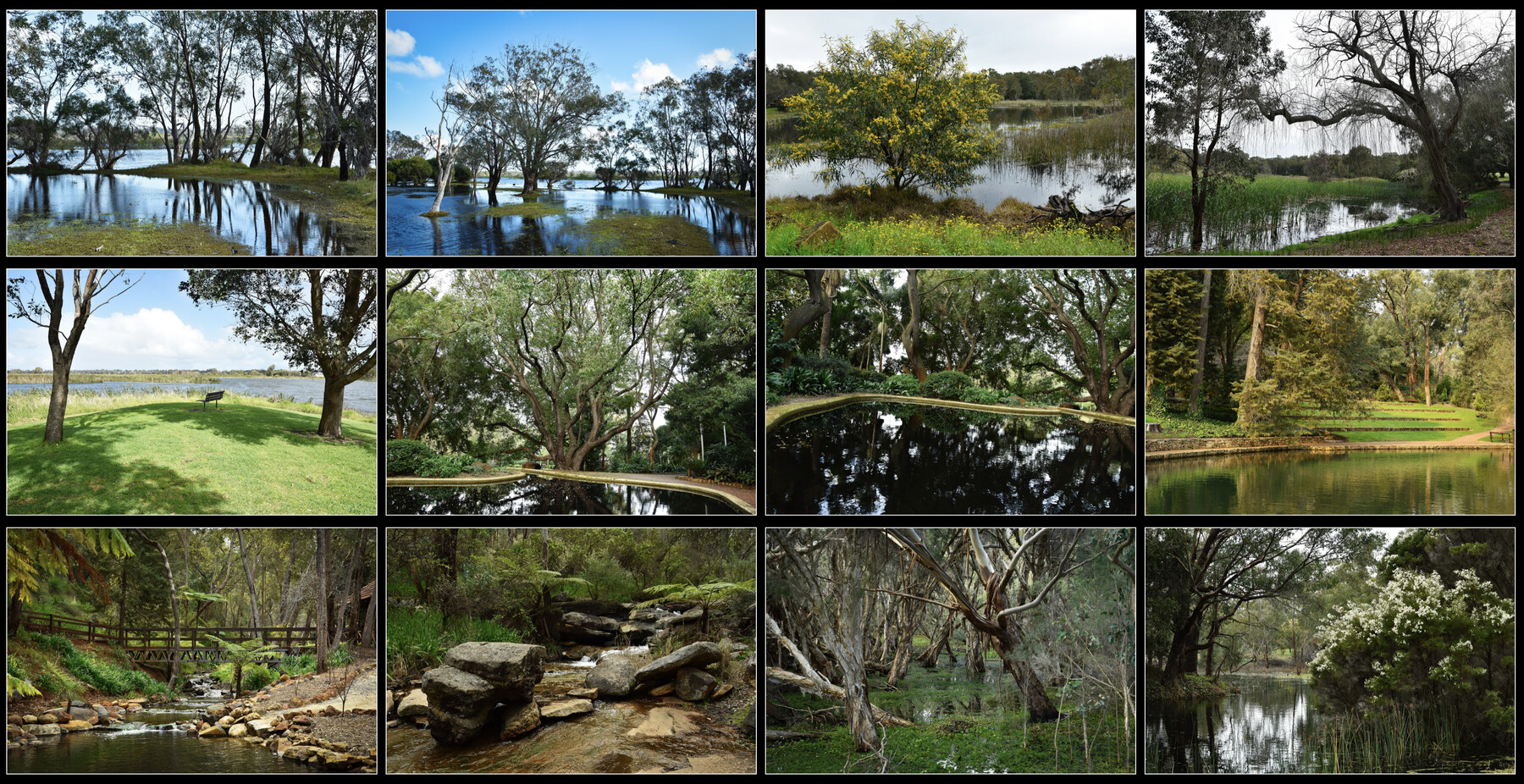 ArtStation - x285 Walk in the park - Landscape Reference Pack | Resources