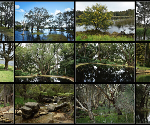 ArtStation - x285 Walk in the park - Landscape Reference Pack | Resources