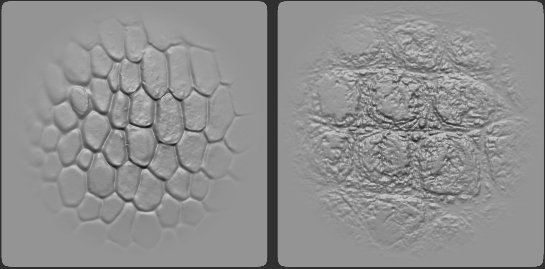 ArtStation - Reptile Scales / Skin Alphas V3 (45 Alphas) [Lizard ...