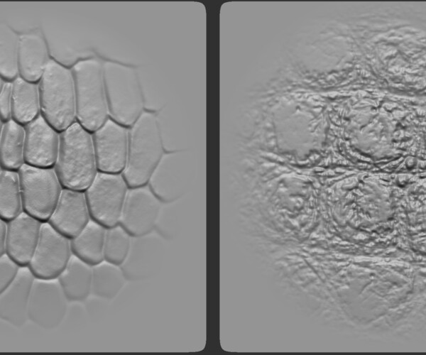 ArtStation - Reptile Scales / Skin Alphas V3 (45 Alphas) [Lizard ...