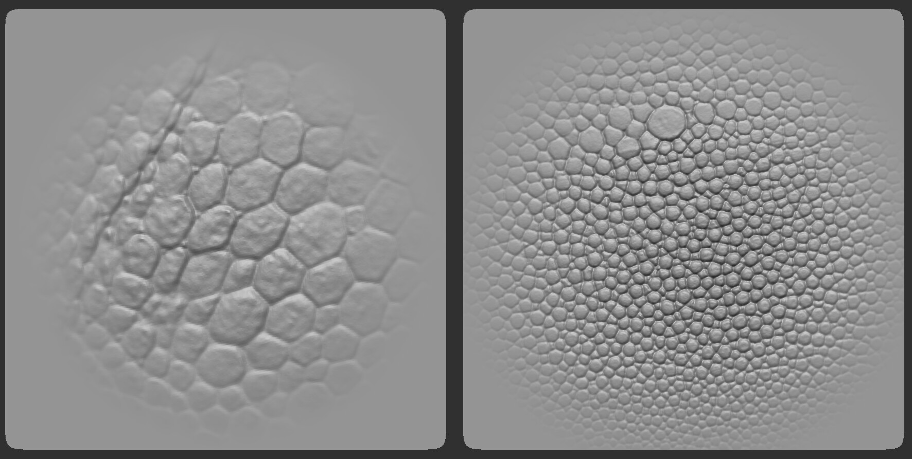 ArtStation - Reptile Scales / Skin Alphas V3 (45 Alphas) [Lizard ...