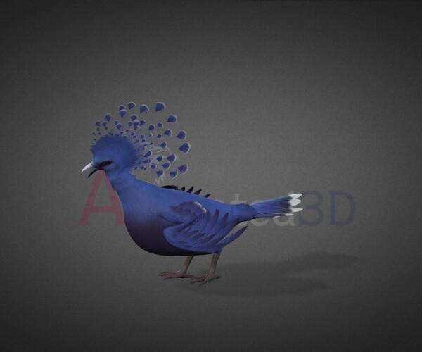 ArtStation - Peafowl-Attack | Game Assets