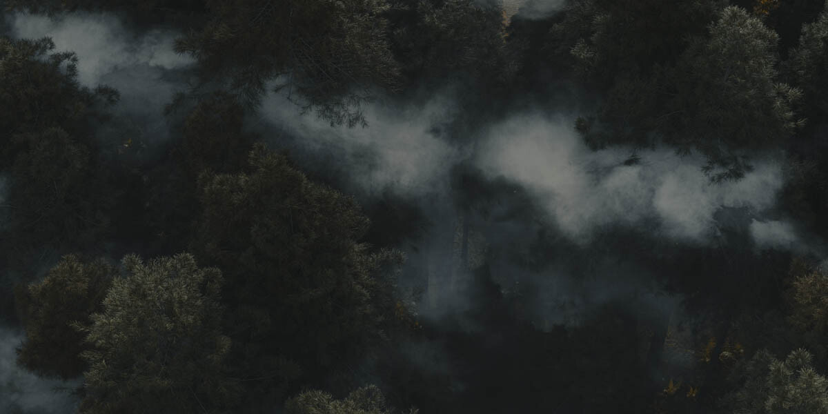 ArtStation - Fog Planes - Addon for Blender | Resources