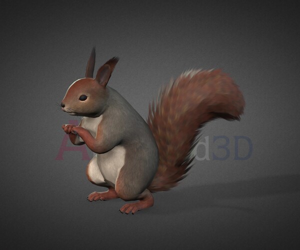 ArtStation - Squirrel-Idle2 | Game Assets