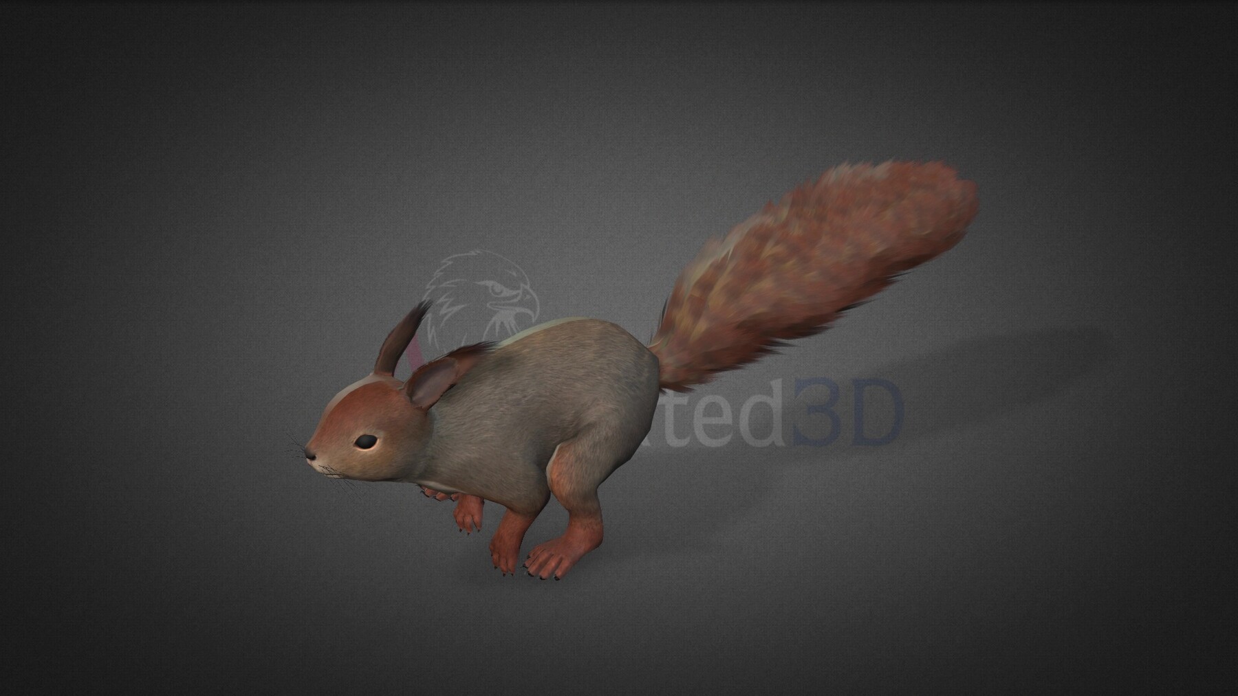 ArtStation - Squirrel-Run | Game Assets