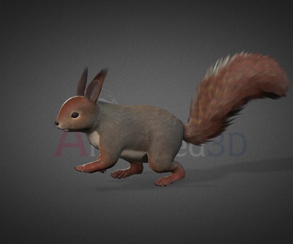 ArtStation - Squirrel-Walk | Game Assets