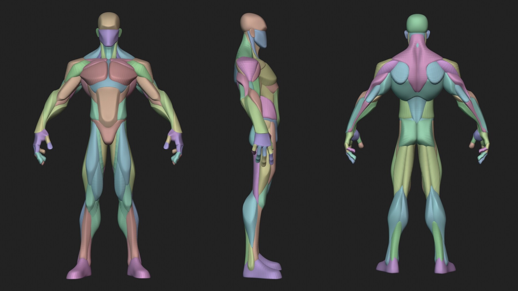 George Zaky Stylized Average Anatomy Blockout