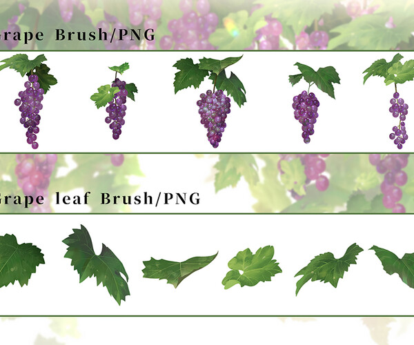 ArtStation - 2 Grape(Grape leaf ) Brushes for ClipStudioPaint/11 PNG images | Brushes