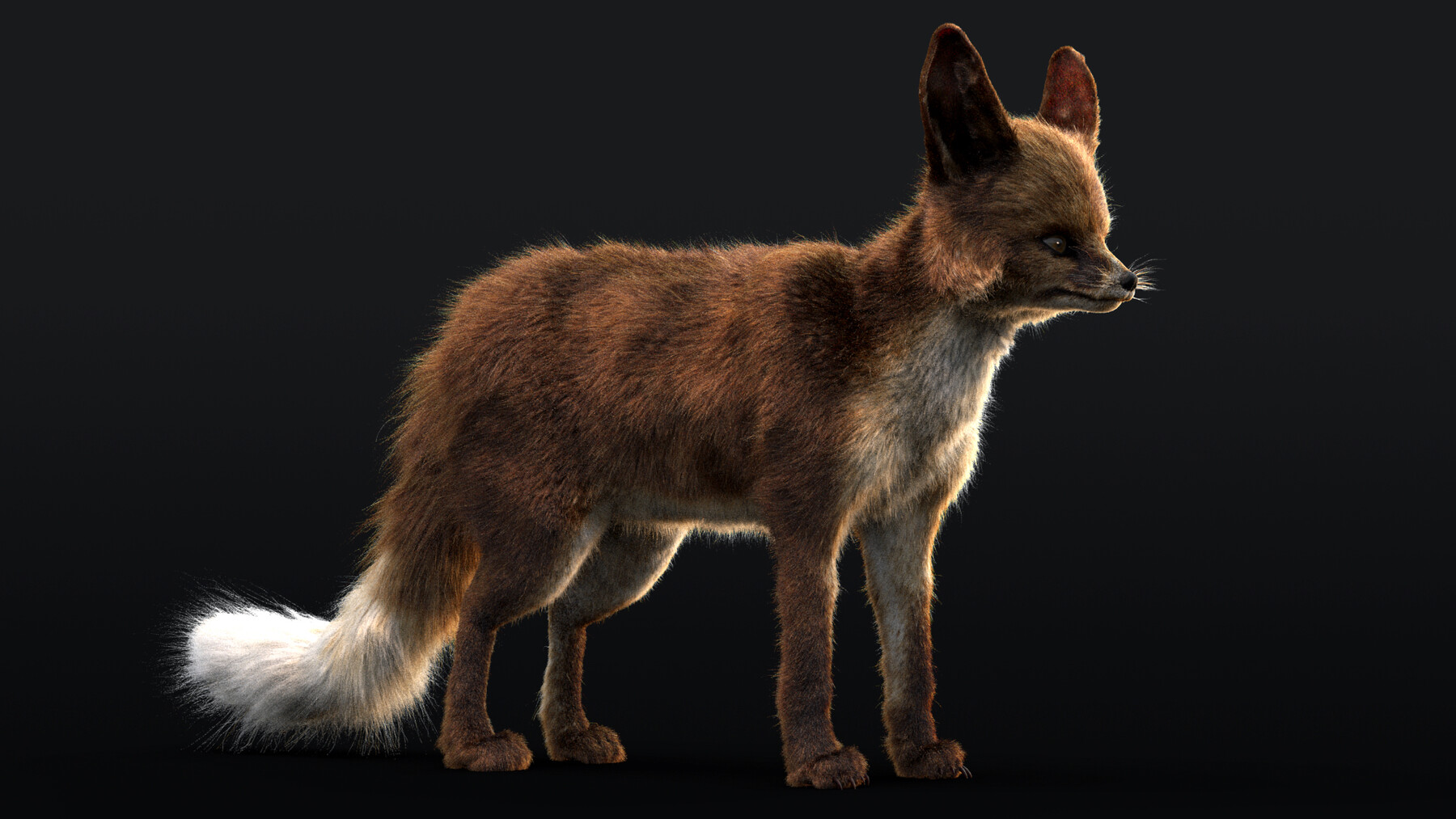 ArtStation - Baby Fox | Game Assets