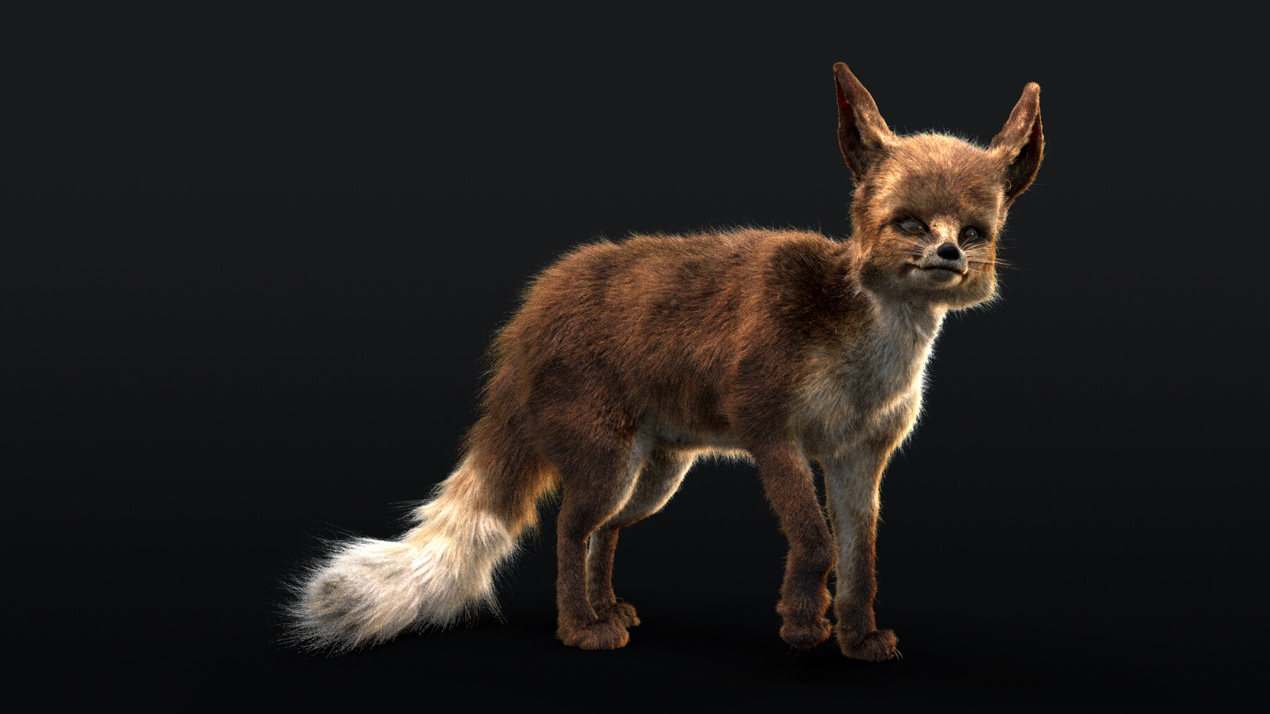 ArtStation - Baby Fox | Game Assets