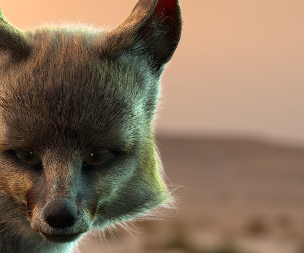 ArtStation - Baby Fox | Game Assets