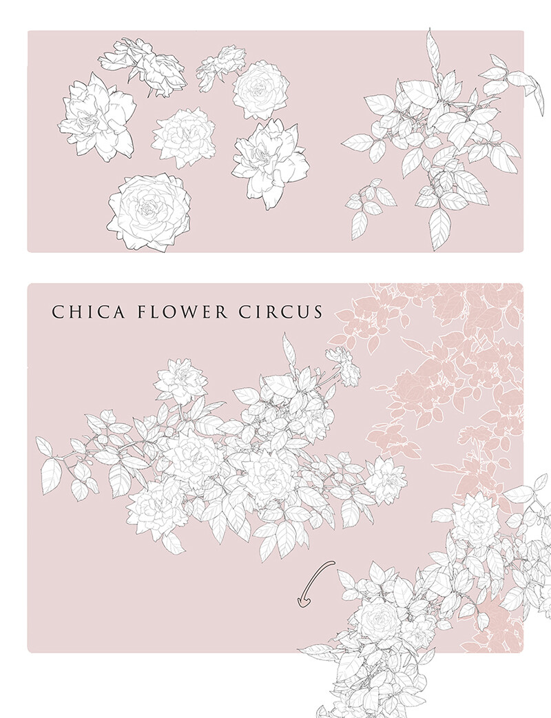 ArtStation - Chica Flower Brushes for ClipStudioPaint/36 PNG images ...