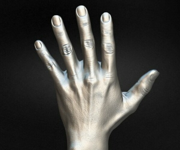 ArtStation - Male Hand (Basemesh) Vol 01 | Resources