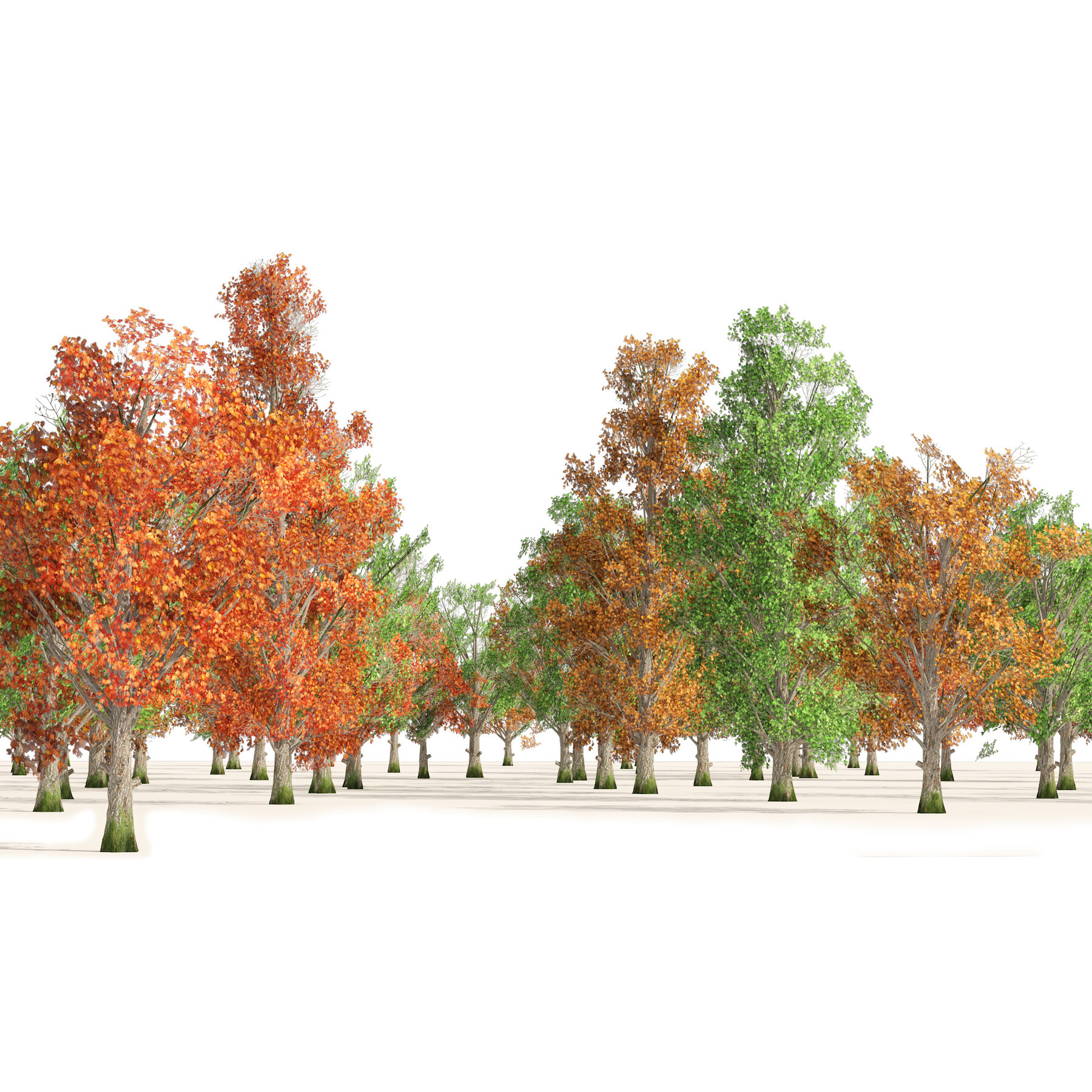 ArtStation - Acer Saccharum summer autumn forest trees | Game Assets