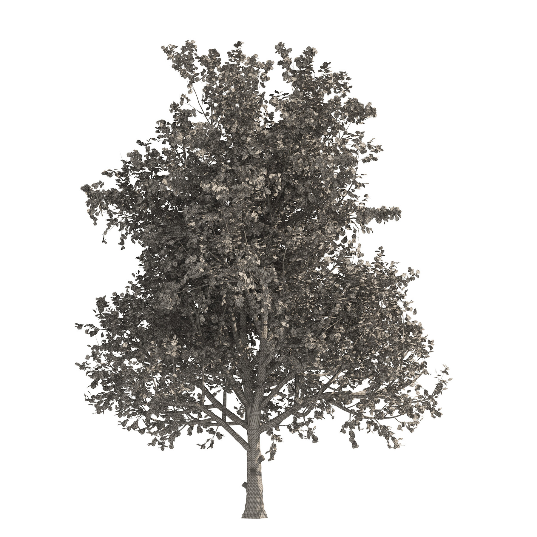 ArtStation - 3 colored autumn mountain maple tree | Resources