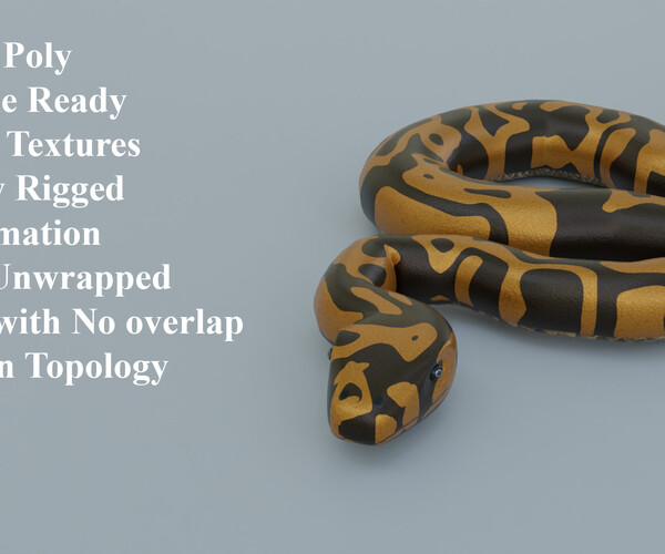 ArtStation - Python Snake - Rigged - Game Ready - PBR | Game Assets
