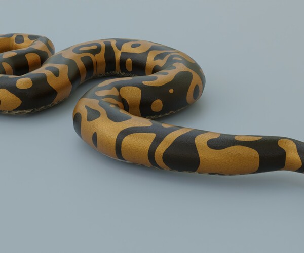 ArtStation - Python Snake - Rigged - Game Ready - PBR | Game Assets
