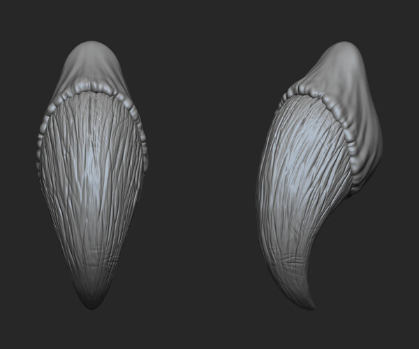 ArtStation - NAILS PACK vol.1 | Brushes