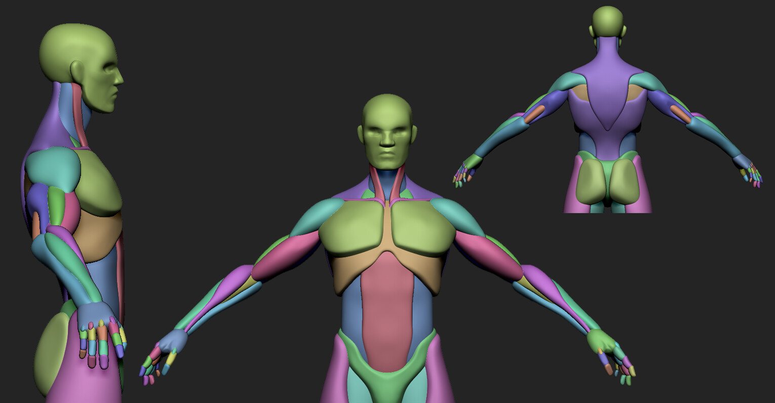 ArtStation - Male base mesh | Resources