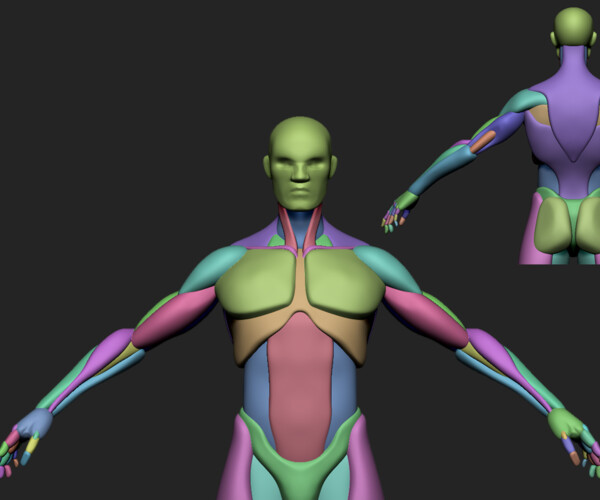 ArtStation - Male base mesh | Resources