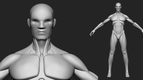 ArtStation - Chibi base mesh | Resources