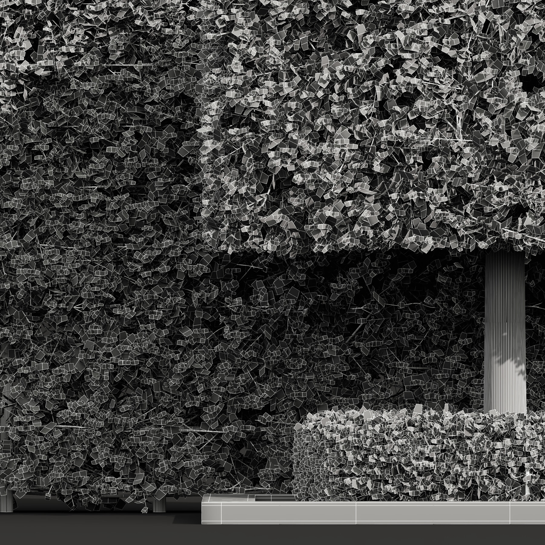 ArtStation - New Plant Ficus Concinna Bonsai Pruned11 | Resources