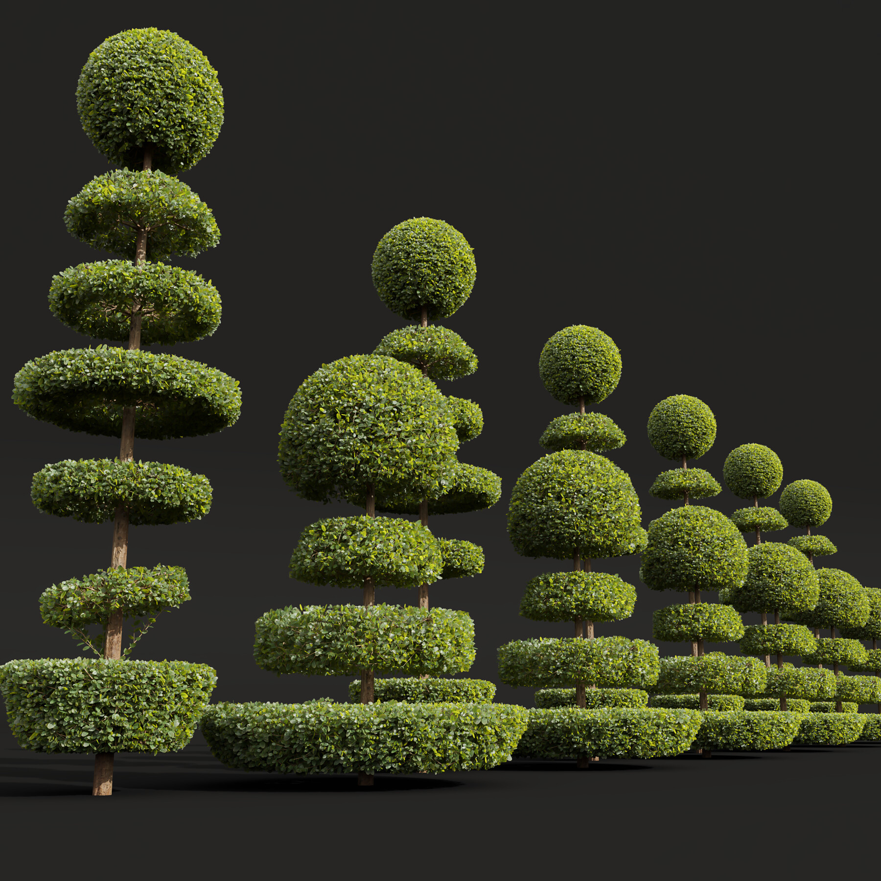 ArtStation - New Plant Ficus Concinna Bonsai Pruned13 | Resources